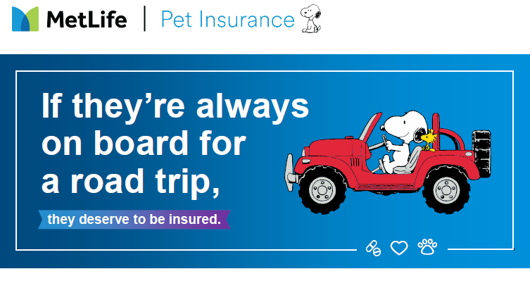 Pet Insurance - Sellers Insurance
